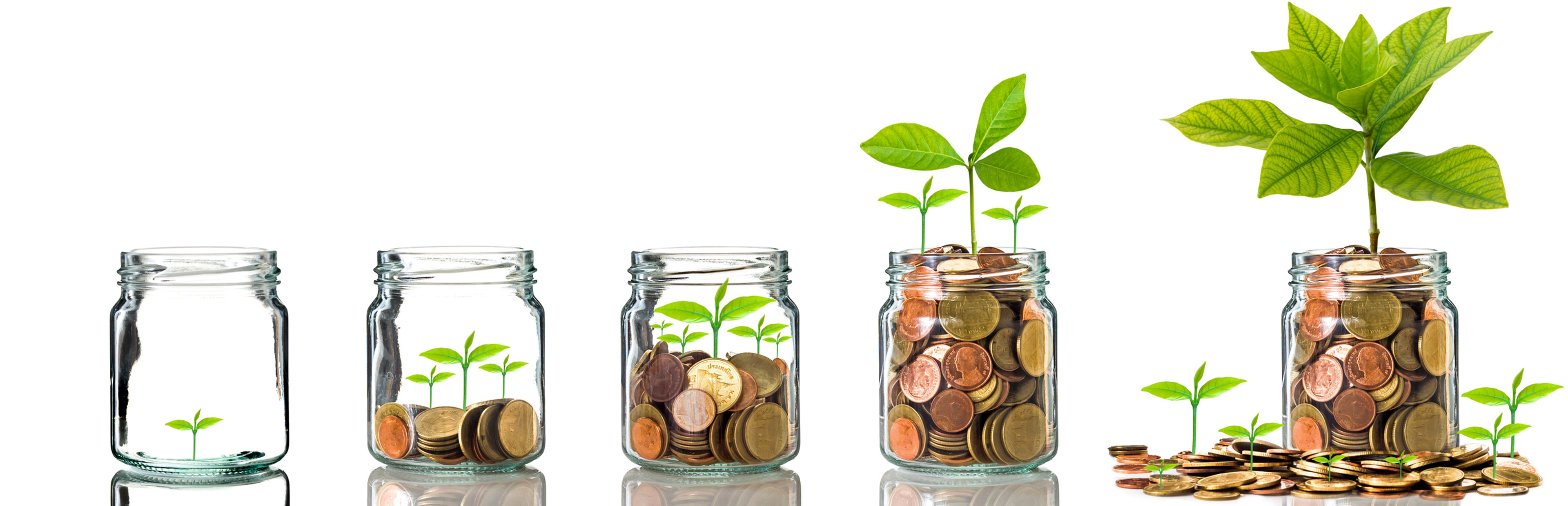 Fixed Deposit National Savings Bank Fixed Deposit National Savings Bank